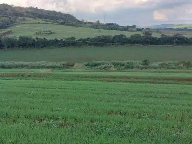 Sítio / Chácara para Venda em Londrina/PR Selva