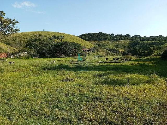 Sítio / Chácara para Venda em Lorena/SP Centro
