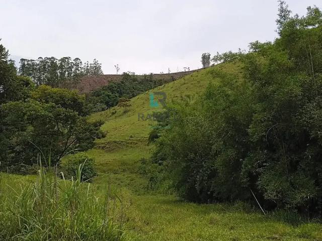 Sítio / Chácara para Venda em Lorena/SP Centro