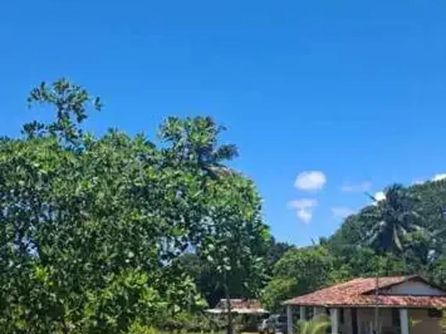 Sítio / Chácara para Venda em Lauro de Freitas/BA Quingoma