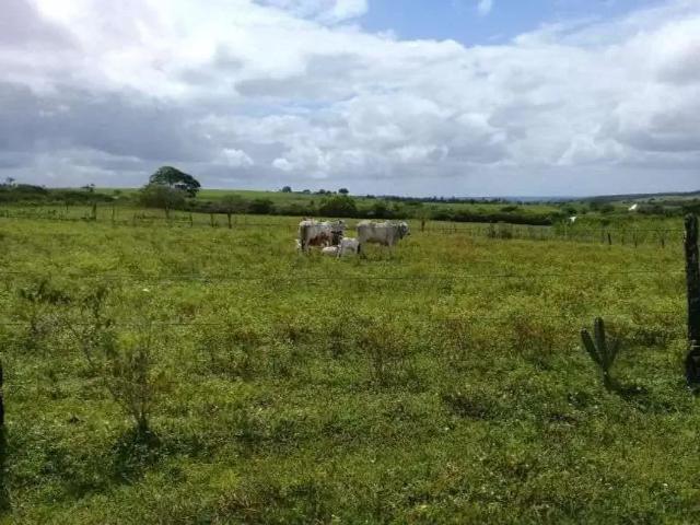 Sítio / Chácara para Venda em Lagoa de Pedras/RN Centro 3 Quartos