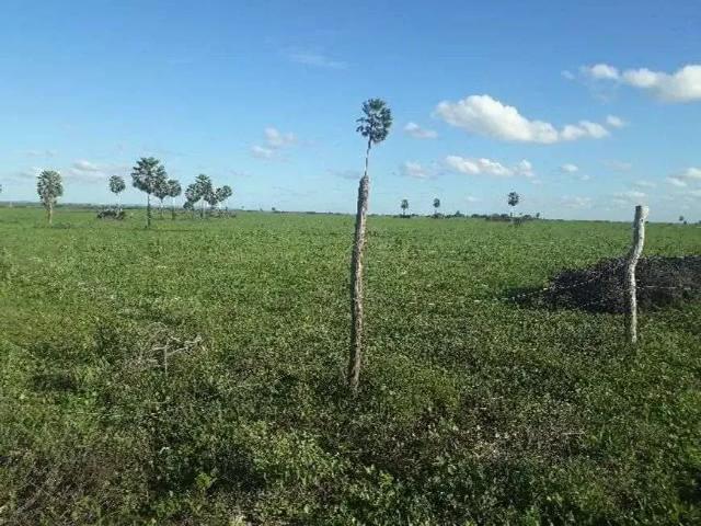 Sítio / Chácara para Venda em Lagoa de Pedras/RN Centro 3 Quartos