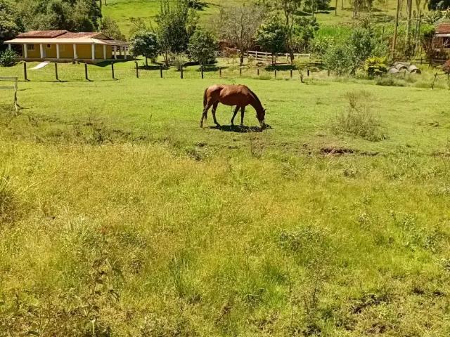 Sítio / Chácara para Venda em Lagoinha/SP Zona Rural 3 Quartos