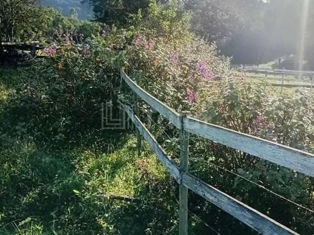 Sítio / Chácara para Venda em Lagoinha/SP Serra Negra 4 Quartos