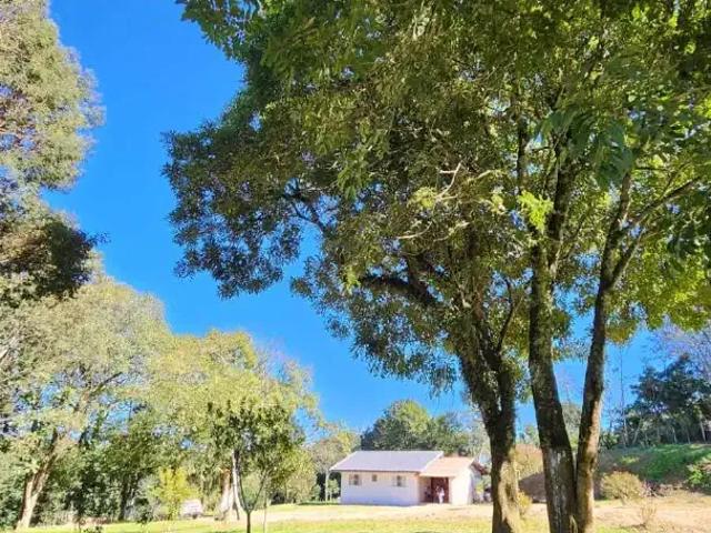 Sítio / Chácara para Venda em Lapa/PR Mariental