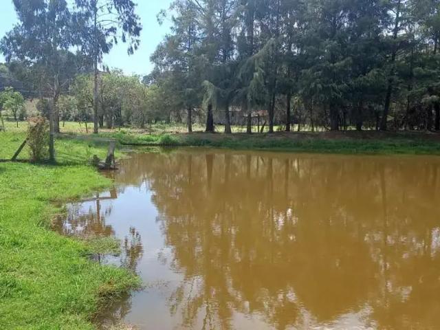 Sítio / Chácara para Venda em Lapa/PR Alves Cardosos