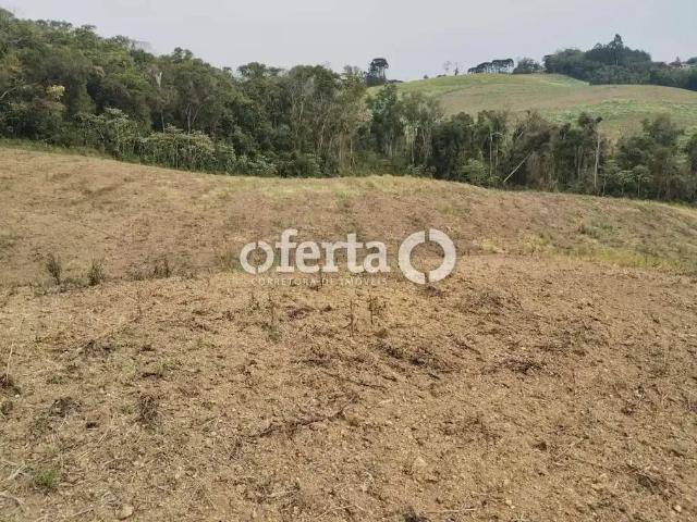 Sítio / Chácara para Venda em Lapa/PR Bonito