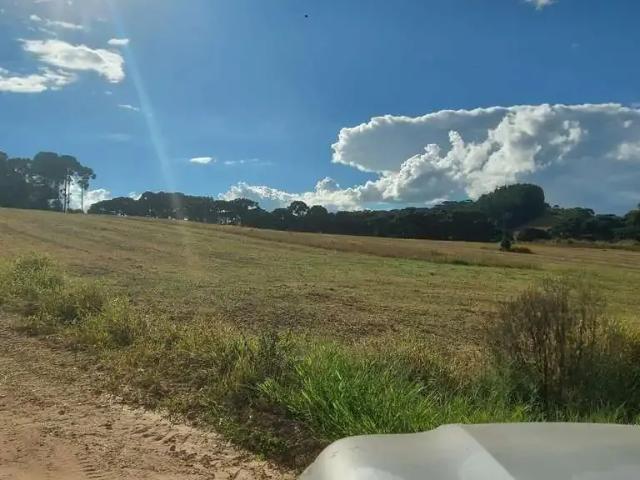 Sítio / Chácara para Venda em Lapa/PR Zona Rural 1 Quartos