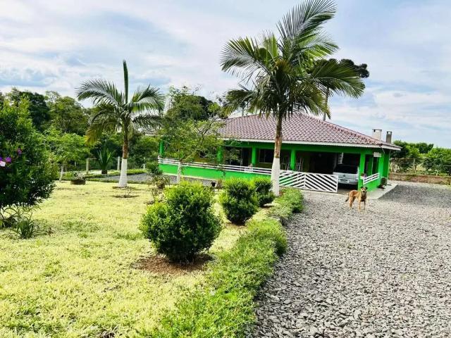 Sítio / Chácara para Venda em Lapa/PR Área Rural Lapa