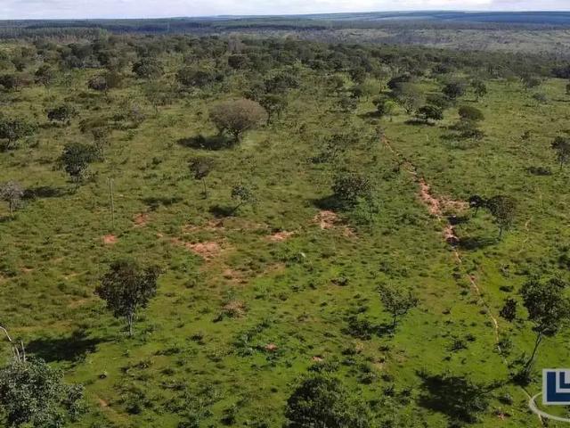 Sítio / Chácara para Venda em Lassance/MG Zona Rural