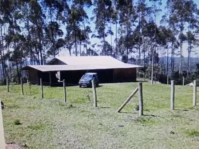 Sítio / Chácara para Venda em Leoberto Leal/SC Centro 2 Quartos