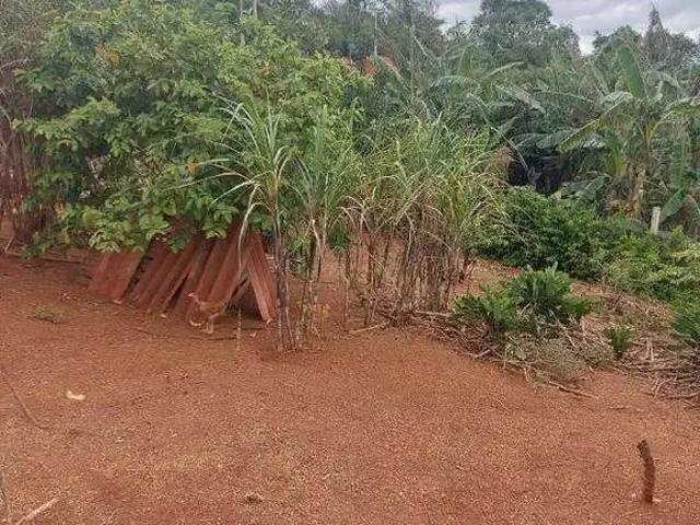 Sítio / Chácara para Venda em Limeira/SP Morro Alto 2 Quartos
