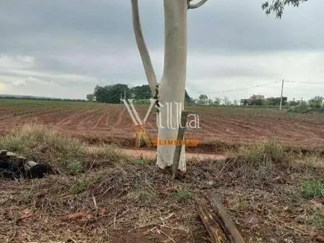 Sítio / Chácara para Venda em Limeira/SP Área Rural de Limeira