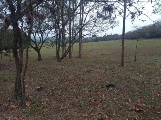Sítio / Chácara para Venda em Limeira/SP Área Rural de Limeira 3 Quartos