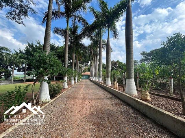 Sítio / Chácara para Venda em Limeira/SP Bairro do Pinhal 5 Quartos