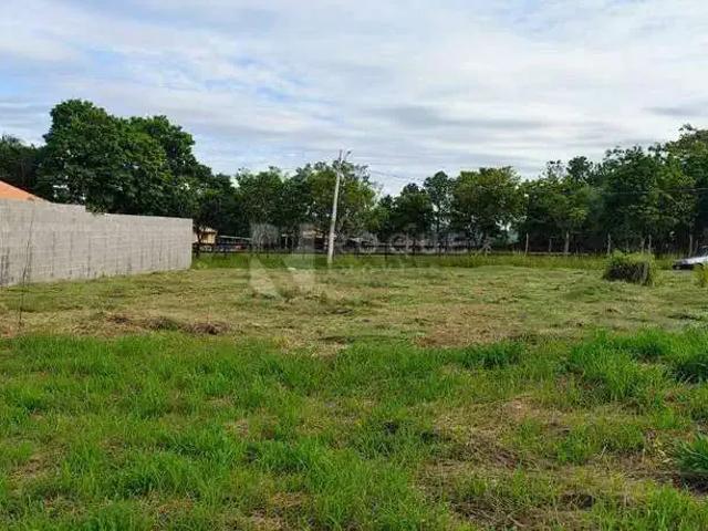 Sítio / Chácara para Venda em Limeira/SP Bairro dos Pires