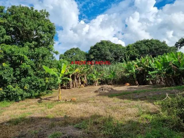 Sítio / Chácara para Venda em Limeira/SP Bairro dos Pires 2 Quartos
