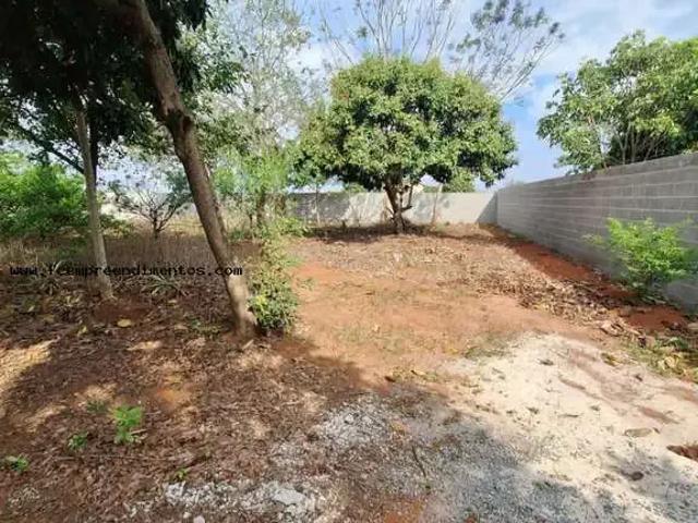 Sítio / Chácara para Venda em Limeira/SP Bairro dos Pires