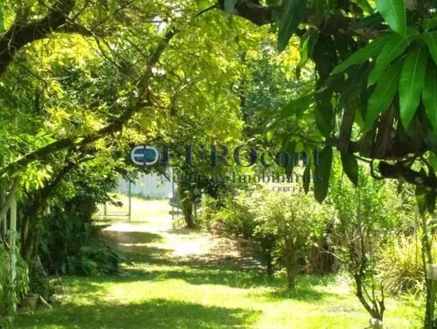 Sítio / Chácara para Venda em Limeira/SP Centro 1 Quartos