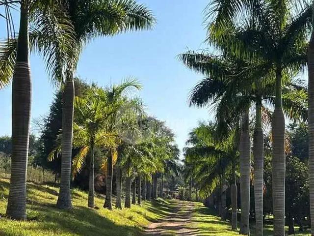 Sítio / Chácara para Venda em Limeira/SP Condomínio de Chácaras Santa Júlia 5 Quartos