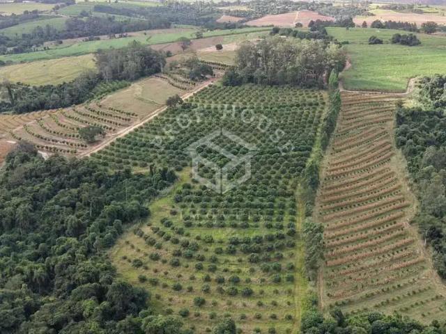 Sítio / Chácara para Venda em Limeira/SP Dos Frades 3 Quartos