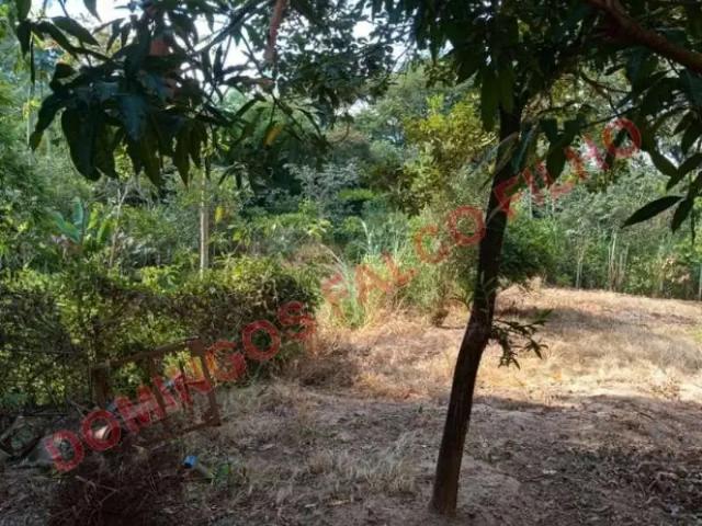 Sítio / Chácara para Venda em Limeira/SP Jaguari