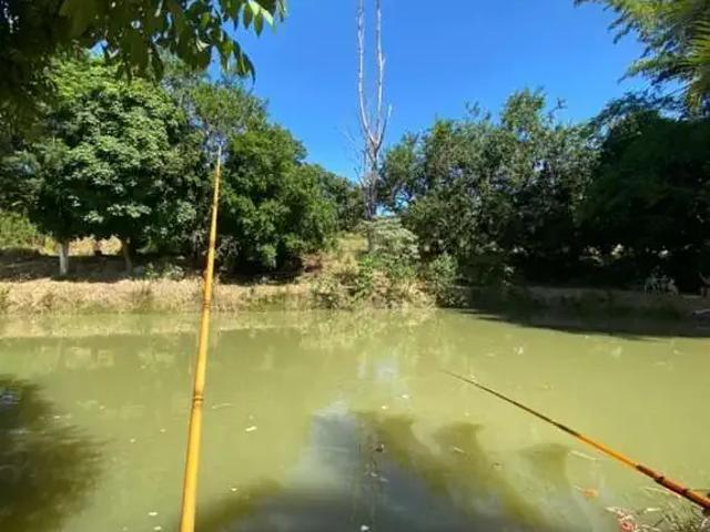 Sítio / Chácara para Venda em Limeira/SP Residencial Palmeira Real