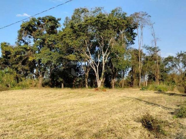 Sítio / Chácara para Venda em Limeira/SP Tatu