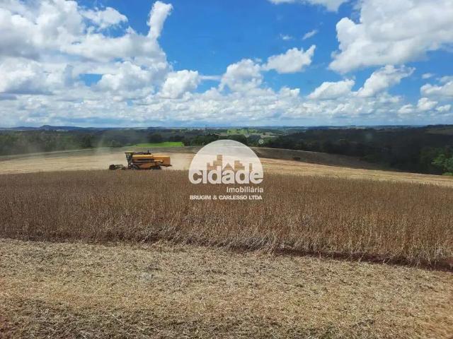 Sítio / Chácara para Venda em Lindoeste/PR Zona Rural