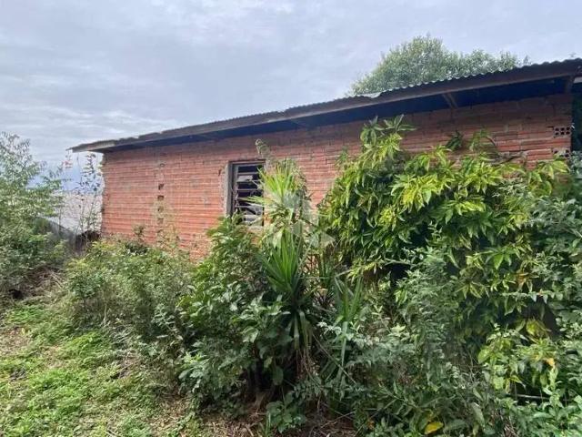 Sítio / Chácara para Venda em Lindolfo Collor/RS Capivarinha 2 Quartos