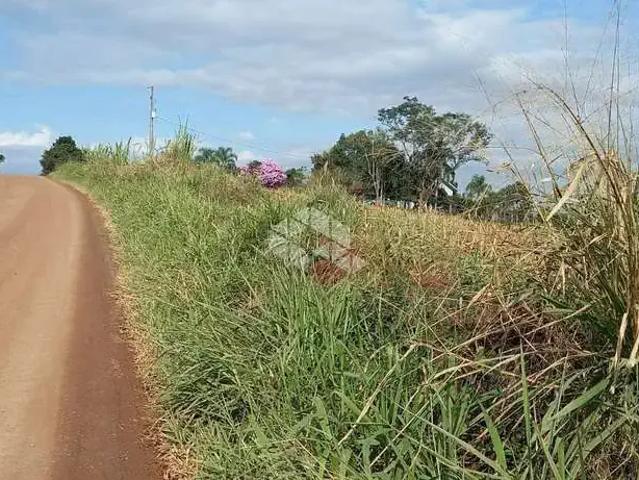 Sítio / Chácara para Venda em Lindolfo Collor/RS Centro