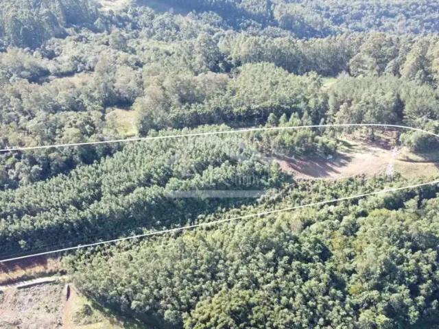 Sítio / Chácara para Venda em Linha Nova/RS Zona Rural 1 Quartos