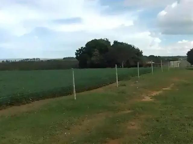 Sítio / Chácara para Venda em Luziânia/GO Área Rural de Luziânia