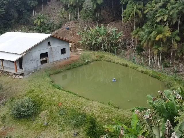 Sítio / Chácara para Venda em Luiz Alves/SC Alto Máximo 3 Quartos