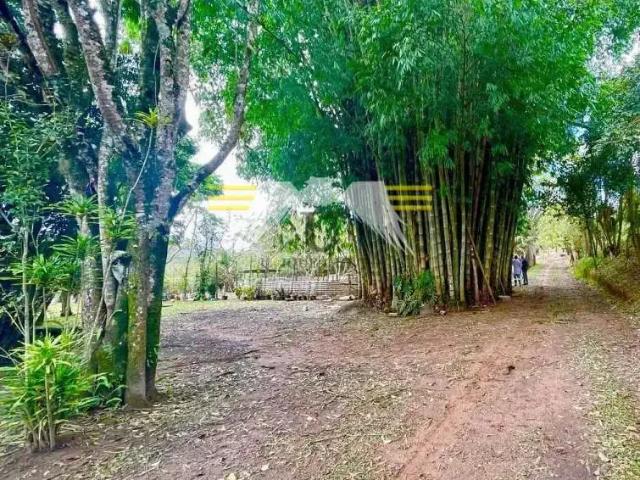 Sítio / Chácara para Venda em Mogi das Cruzes/SP Cézar de Souza 4 Quartos