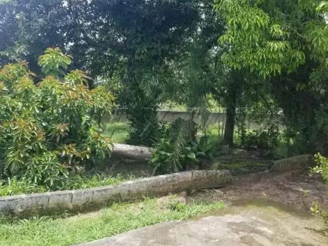 Sítio / Chácara para Venda em Mogi das Cruzes/SP Chácara Guanabara 3 Quartos