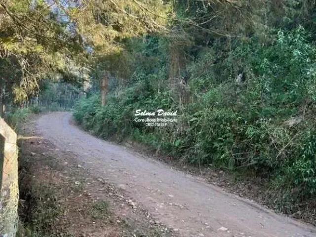 Sítio / Chácara para Venda em Mogi das Cruzes/SP Biritiba Ussu 5 Quartos