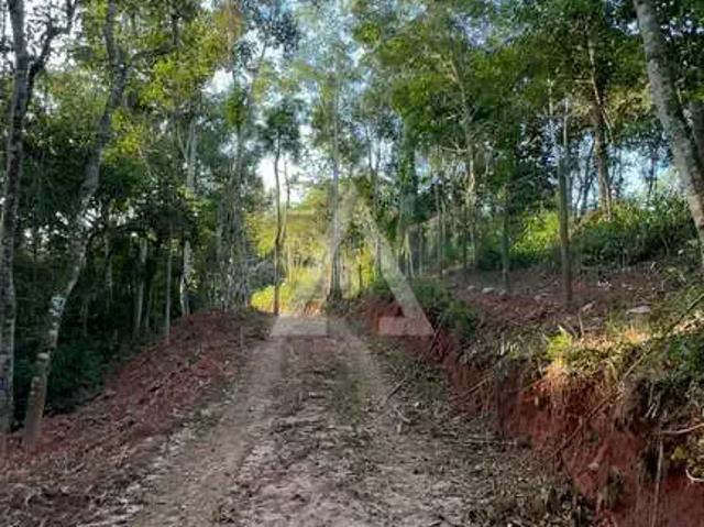 Sítio / Chácara para Venda em Mogi das Cruzes/SP Parque Residencial Itapeti