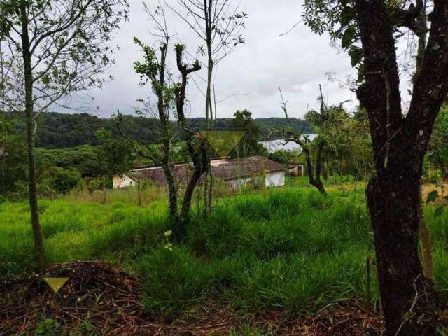 Sítio / Chácara para Venda em Mogi das Cruzes/SP Taiacupeba