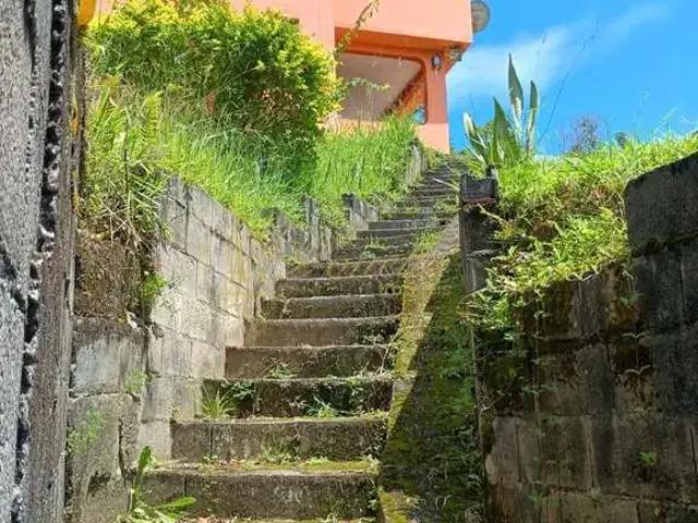 Sítio / Chácara para Venda em Mogi das Cruzes/SP Taiacupeba 3 Quartos