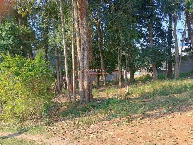 Sítio / Chácara para Venda em Mogi das Cruzes/SP Vila Moraes