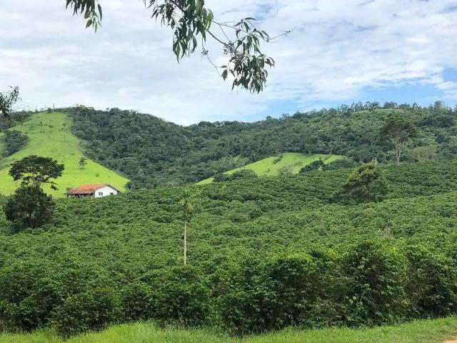 Sítio / Chácara para Venda em Mogi Guaçu/SP Área Rural de Mogi Guaçu
