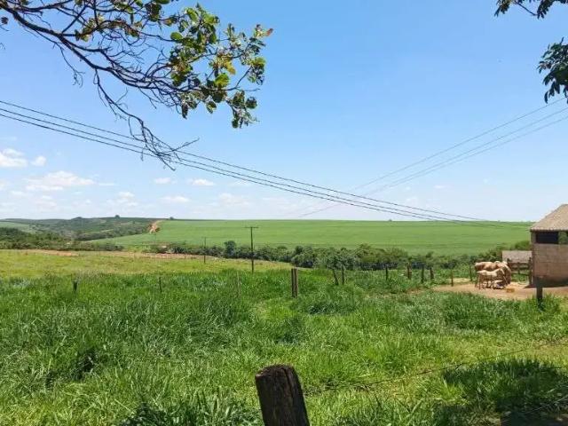 Sítio / Chácara para Venda em Mogi Mirim/SP Área Rural de Mogi Mirim 4 Quartos