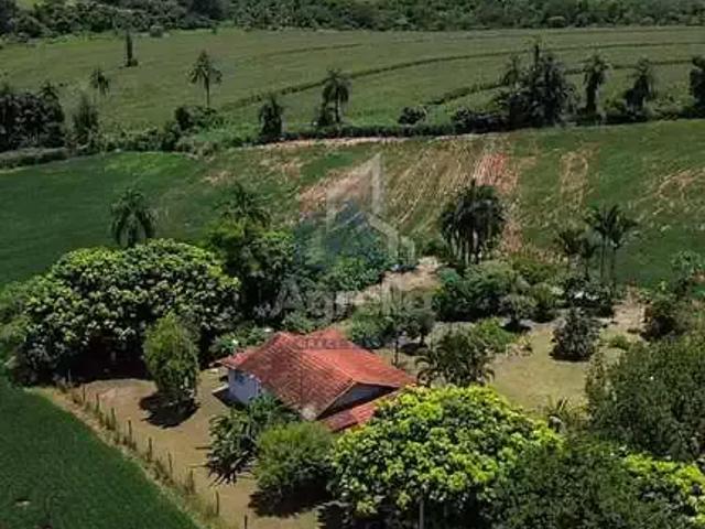 Sítio / Chácara para Venda em Mogi Mirim/SP Área Rural de Mogi Mirim 2 Quartos
