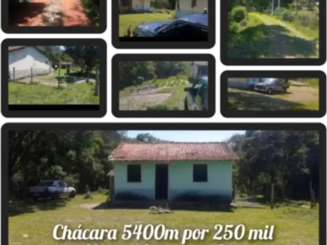 Sítio / Chácara para Venda em Monte Alegre do Sul/SP Mostardas 2 Quartos