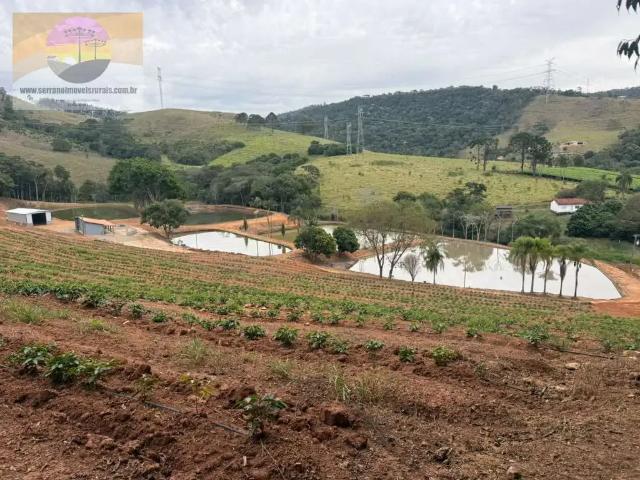Sítio / Chácara para Venda em Monte Alegre do Sul/SP Centro 2 Quartos