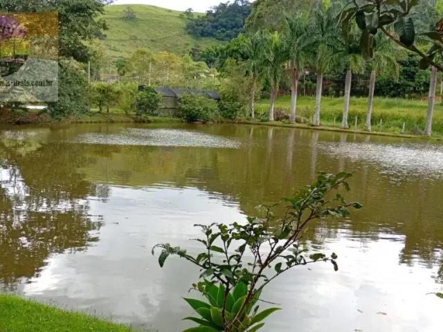 Sítio / Chácara para Venda em Monte Alegre do Sul/SP Centro 3 Quartos