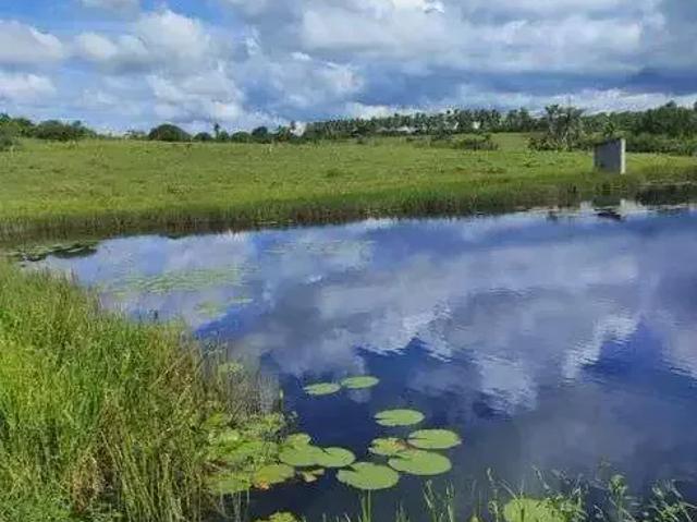 Sítio / Chácara para Venda em Monte Alegre/RN Centro 3 Quartos