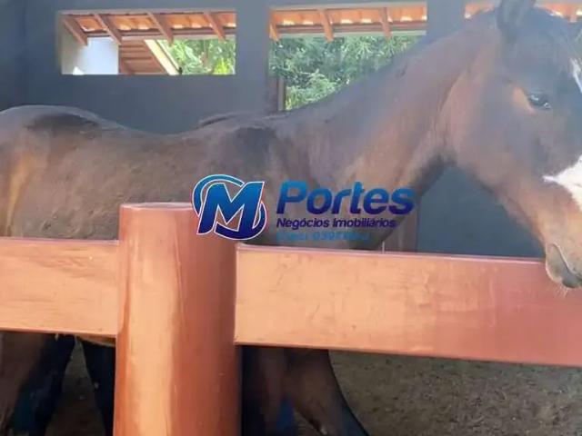 Sítio / Chácara para Venda em Monte Aprazível/SP Zona Rural 5 Quartos
