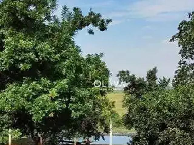Sítio / Chácara para Venda em Monte Aprazível/SP Zona Rural